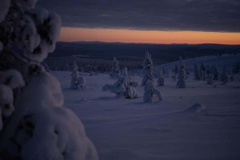 Wilderness Adventure by Snowmobile Sleigh - An In-Depth Look at This Arctic Journey