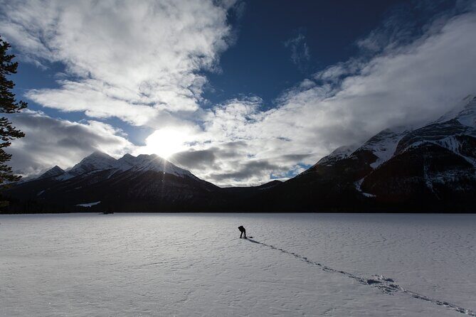 Wilderness and Wildlife Hiking Tour - 3hr Hike - The Itinerary: What to Expect