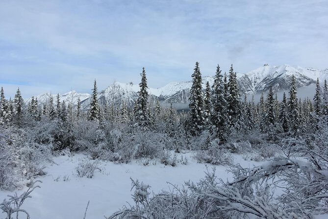 Wilderness and Wildlife Hiking Tour - 3hr Hike - Who Should Consider This Tour?