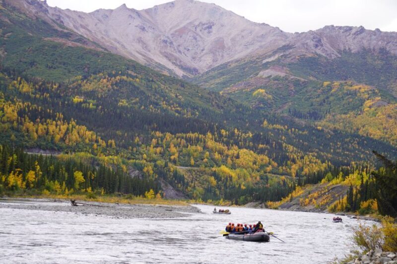 Wilderness: Denali National Park Class I-II Rafting Tour - What You’ll Experience on the River
