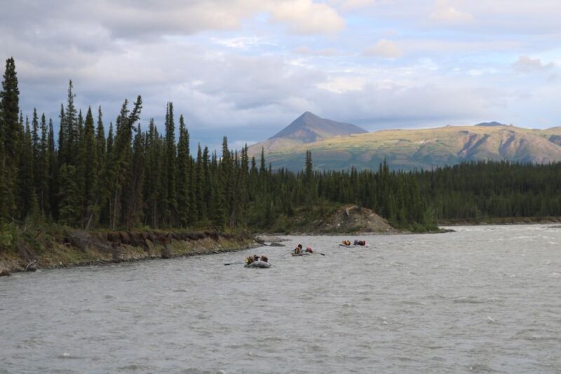 Wilderness: Denali National Park Class I-III Rafting Tour - The Review – What Travelers Are Saying