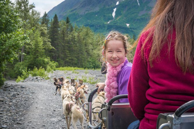 Wilderness Dog Sled Ride and Tour in Seward - What This Tour Offers: From Trails to Puppy Cuddles