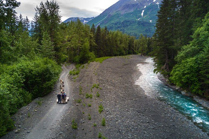 Wilderness Dog Sled Ride and Tour in Seward - FAQ
