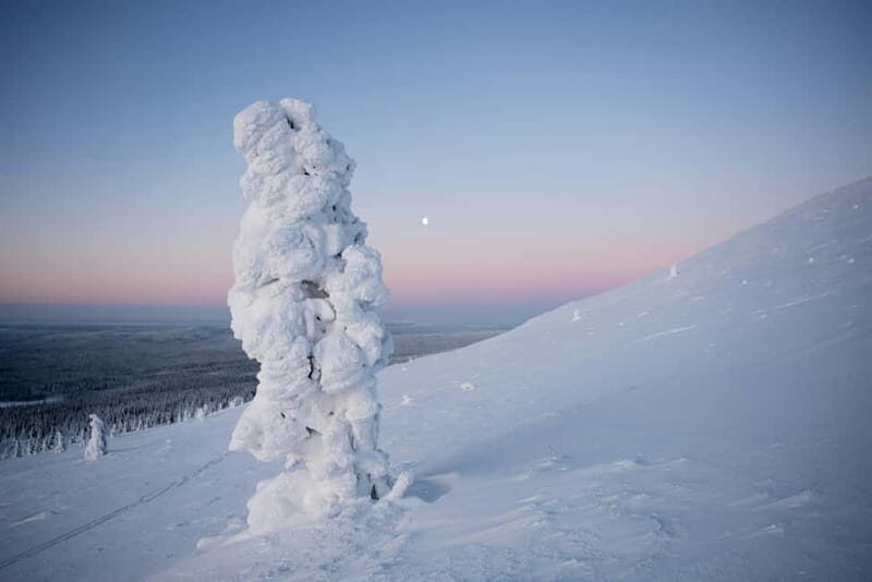 Wilderness Escape  4 Days in Karigasniemi, Finnish Lapland - Who Should Consider This Tour?