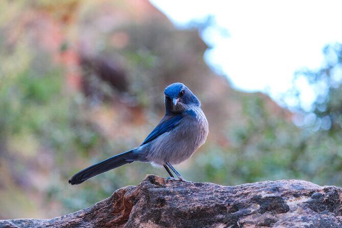 Wilderness Hiking Tours - Key Points