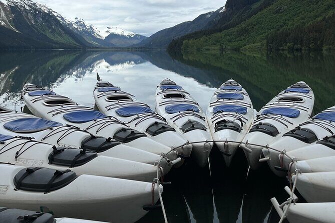 Wilderness Kayak Adventure in Haines - Who Should Consider This Tour?