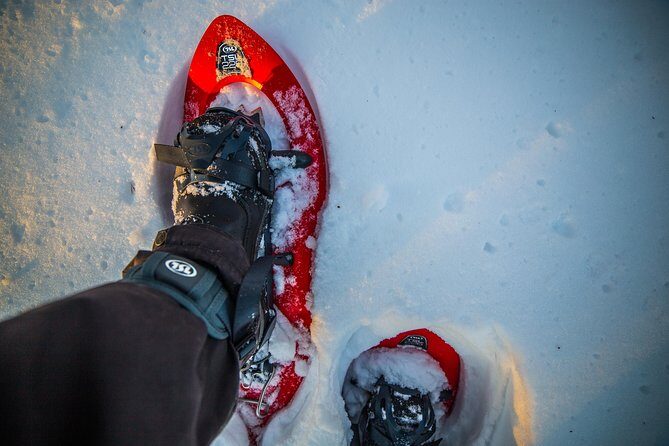 Wilderness snowshoe adventure - The Value in Details