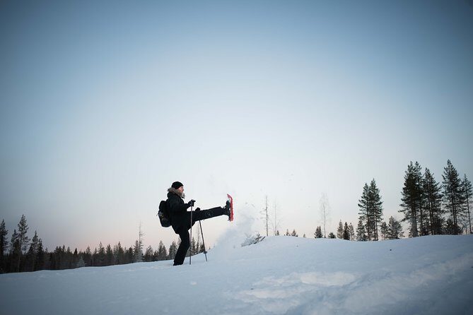 Wilderness snowshoe adventure - The Sum Up