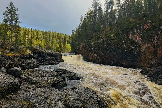 Wilderness Survival Tour - Summer & Autumn - Practical Considerations: Cost, Timing, and Preparation