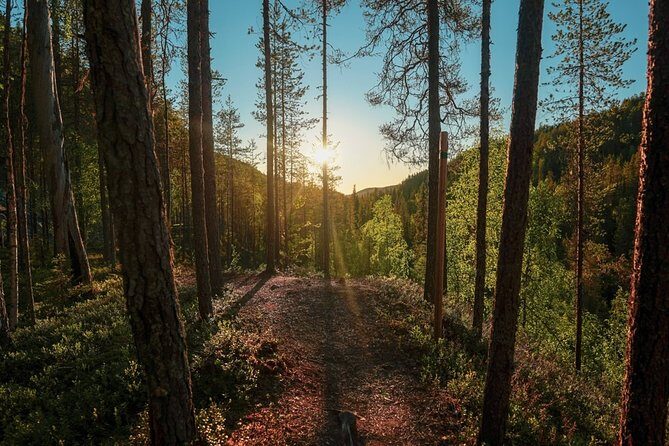 Wilderness Survival Tour - Summer & Autumn - Real Experiences and Authenticity