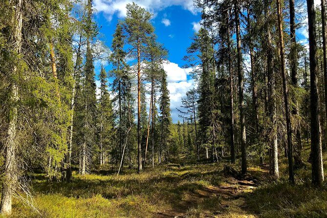 Wilderness Survival Tour - Summer & Autumn - Who Will Love This Tour?