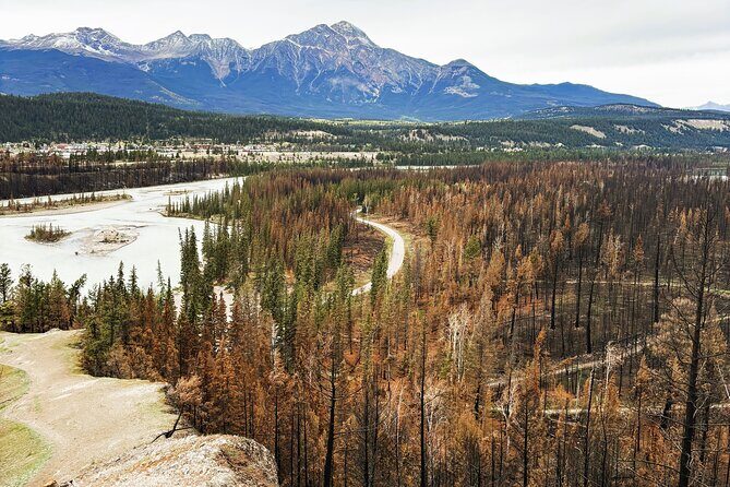 Wildfire Peak Nic - Discovering Jasper’s Wildfire Peak: A Natural Reflection