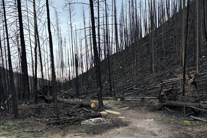 Wildfire Peak Nic - Final Thoughts: A Truly Meaningful Experience