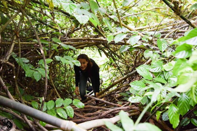 Wildlife and Jungle Adventure - 01Day in Phong Nha - Wildlife and Jungle Adventure – 01 Day in Phong Nha