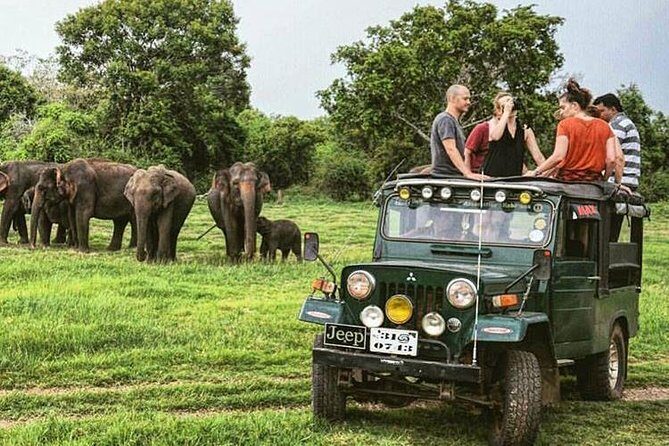 Wildlife and Nature Tour (18 Days , 17 Nights) - A Deep Dive into the 18-Day Sri Lankan Wildlife and Nature Tour