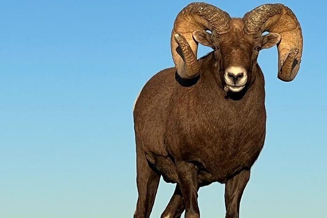 Wildlife Biologists Field Expedition: The Badlands Uncovered - The Practicalities: What to Expect
