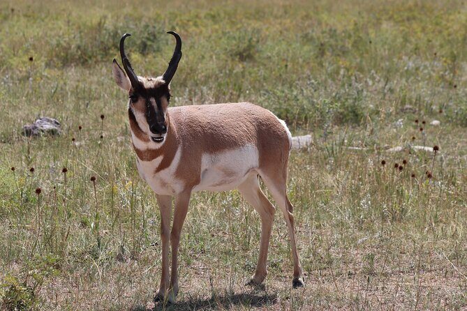 Wildlife Biologists Field Expedition: The Badlands Uncovered - What Our Reviewers Are Saying