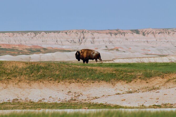Wildlife Biologists Guide to the Black Hills: Private Tour - Transportation, Timing, and How it All Works