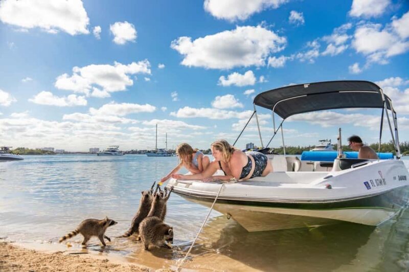 Wildlife Boat Tour & Racoon Island - What You’ll Love About This Tour