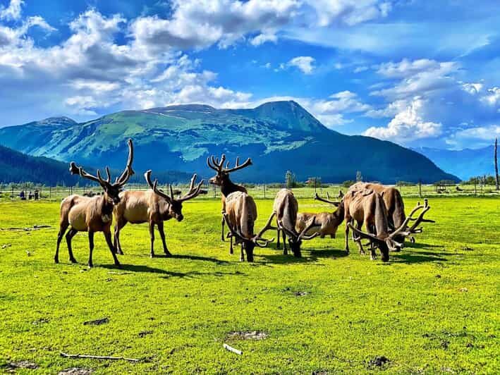 Wildlife Center with Lunch & Local Beer Sampling - Who Would Love This Tour?