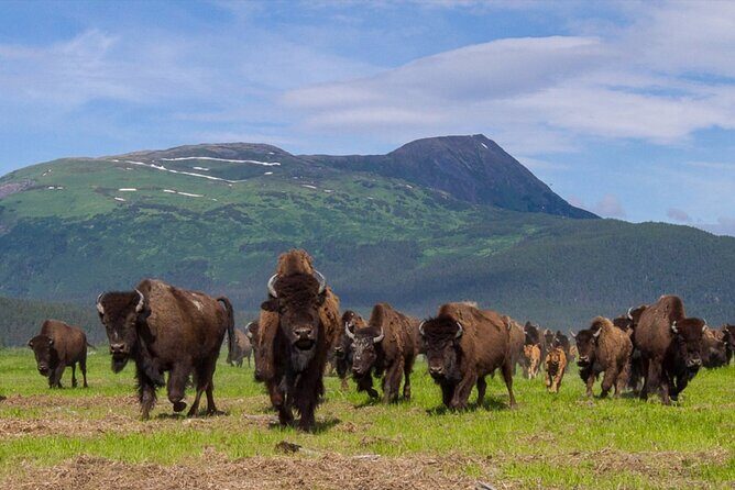 Wildlife Center with Lunch & Local Beer Sampling - Winter&Summer - Exploring the Itinerary in Depth