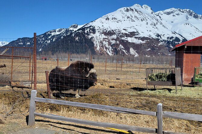 Wildlife Center with Lunch & Local Beer Sampling - Winter&Summer - Considerations and Tips