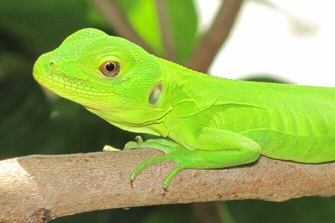 Wildlife Eco Tour on the coast of Oaxaca. - Who Will Love This Tour?