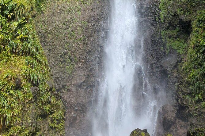 Wildlife Hike Middleham Falls - The Practical Details