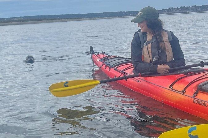 Wildlife Kayak Tour at Fort Flagler State Park - Evaluating the Value and Costs