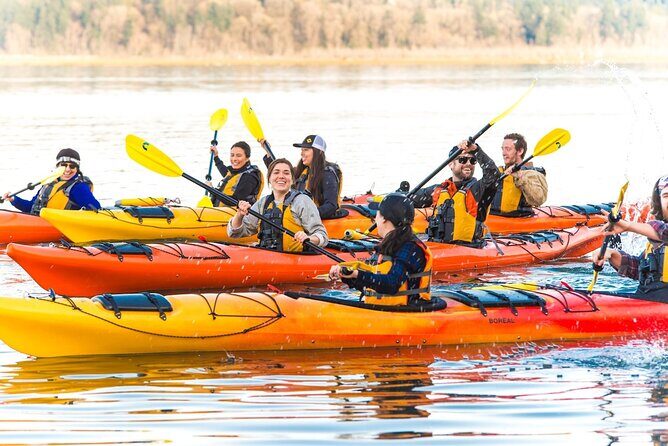 Wildlife Kayak Tour at Fort Flagler State Park - Real Guest Perspectives and What They Say