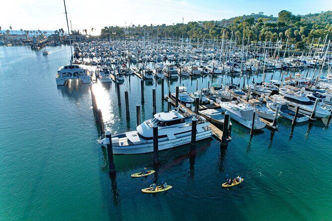 Wildlife Kayak Tour in Santa Barbara Harbor (2 Hours) - The Practicalities: What You Need to Know