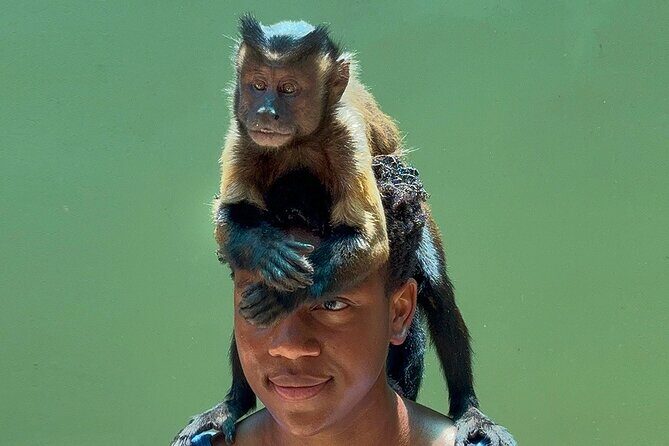 Wildlife Learning Adventure and Snorkeling in Akumal - FAQ