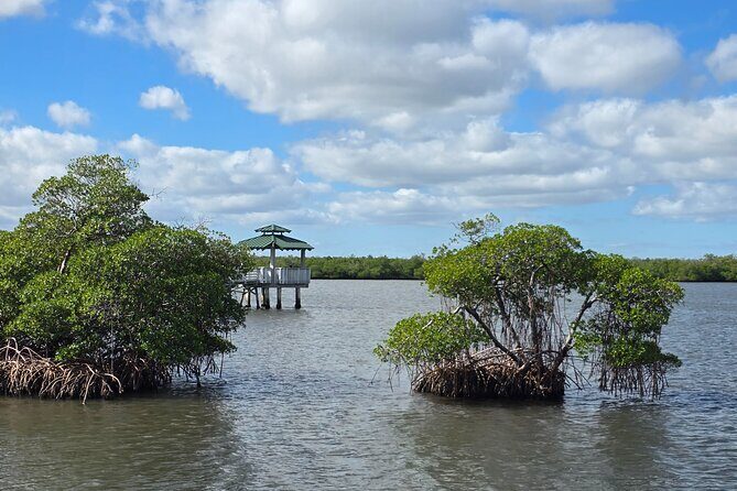Wildlife Nature Cruise - 2.5 HR Eco Tour Anne Kolb State Park - Final Thoughts