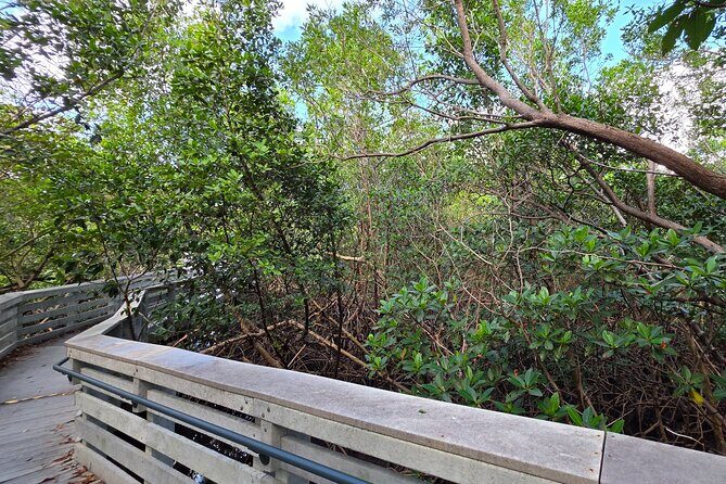 Wildlife Nature Cruise - 2.5 HR Eco Tour Anne Kolb State Park - FAQ