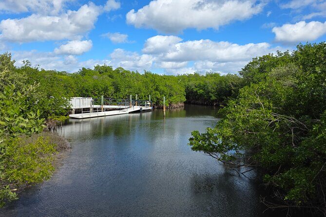 Wildlife Nature Cruise - 2.5 HR Eco Tour Anne Kolb State Park - Final Words