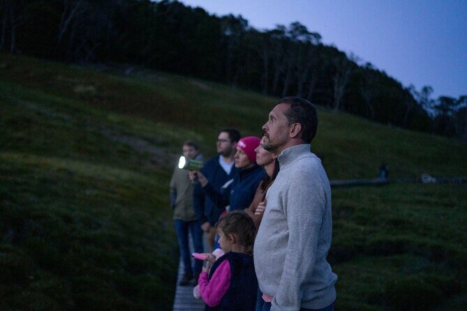 Wildlife Night Spotting at Cradle Mountain - The Role of Weather and Animal Activity