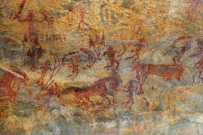 Wildlife of Central India - The Significance of the Price