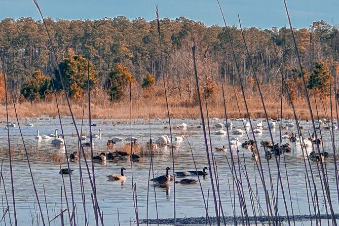Wildlife Photo Safari - The Sum Up: Is It Worth It?