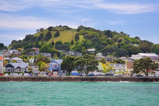 Wildlife Private Tour from Wellington Cruise Port - Authentic Experiences and Traveler Insights