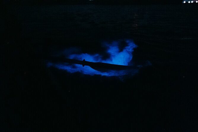 Wildlife Refuge Bioluminescent Kayak or Paddleboard Tour! - The Practical Side: Details and Logistics