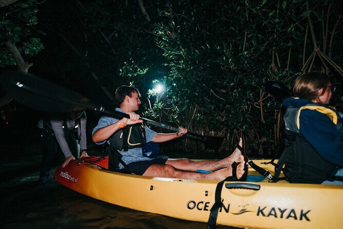 Wildlife Refuge Bioluminescent Kayak or Paddleboard Tour! - Summary: A Magical Nighttime Experience