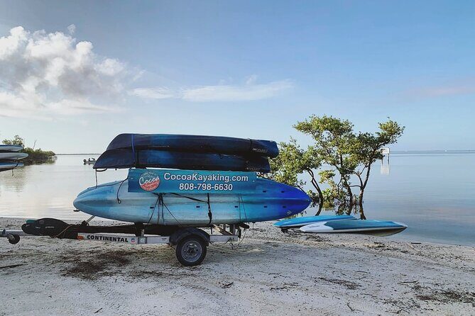 Wildlife Refuge Dolphin, Manatee & Mangrove Kayak or Paddleboarding Tour! - What You Can Expect from This Tour