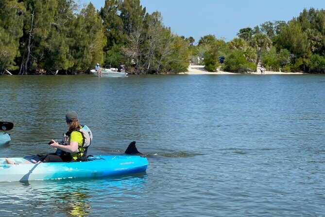 Wildlife Refuge Dolphin, Manatee & Mangrove Kayak or Paddleboarding Tour! - Who Will Love This Tour?