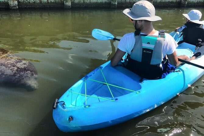 Wildlife Refuge Manatee, Dolphin & Mangrove Kayak or Paddleboarding Tour! - An In-Depth Look at the Wildlife Refuge Tour