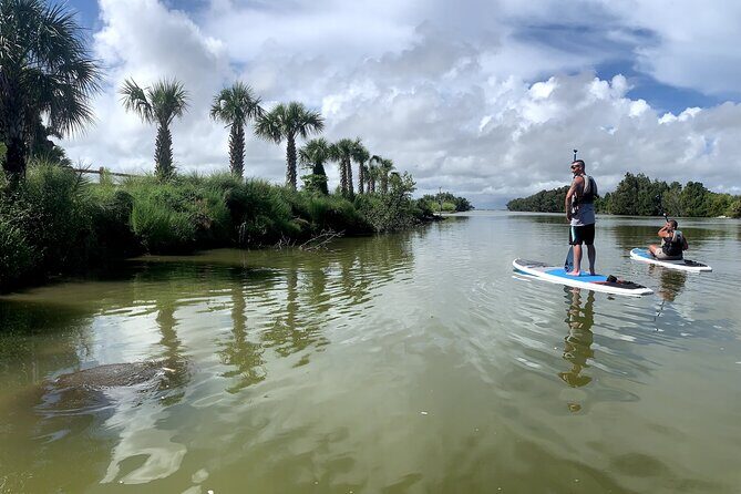 Wildlife Refuge Sunset Dolphin, Manatee & Mangrove Kayak or Paddleboarding Tour! - An Authentic Sunset Kayak or Paddleboard Adventure in Cocoa Beach