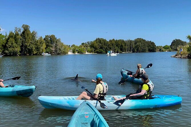 Wildlife Refuge Sunset Dolphin, Manatee & Mangrove Kayak or Paddleboarding Tour! - Why This Tour Stands Out