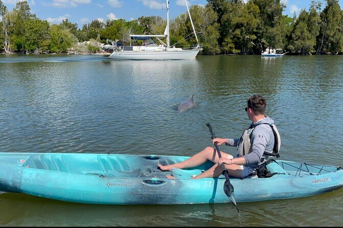 Wildlife Refuge Sunset Dolphin, Manatee & Mangrove Kayak or Paddleboarding Tour! - Authentic Wildlife Encounters and Review Insights