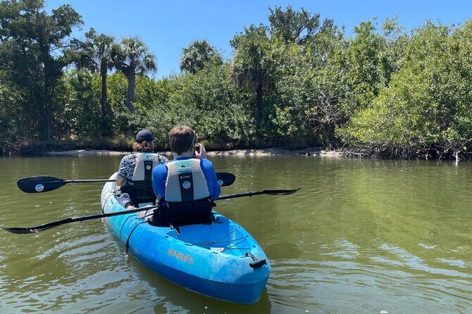Wildlife Refuge Sunset Dolphin, Manatee & Mangrove Kayak or Paddleboarding Tour! - Comparing Value: Is This Tour Worth It?