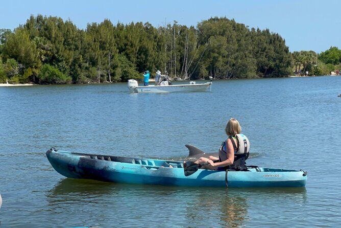 Wildlife Refuge Sunset Dolphin, Manatee & Mangrove Kayak or Paddleboarding Tour! - Who Would Enjoy This Tour?