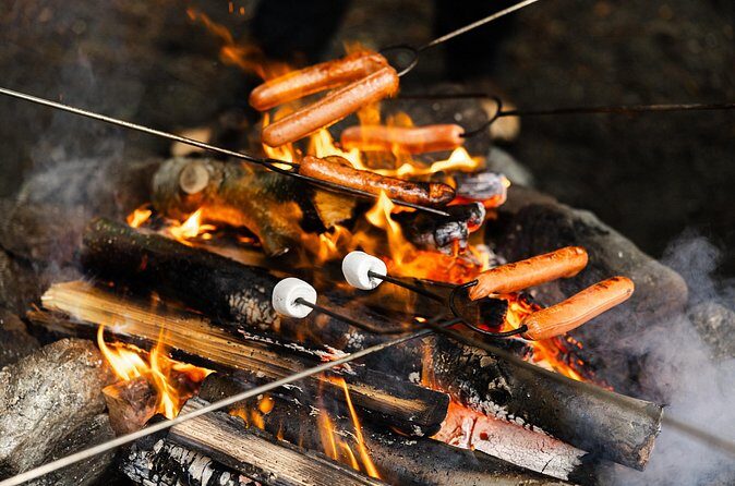 Wildlife Safari and Beach Campfire from Ketchikan - Frequently Asked Questions